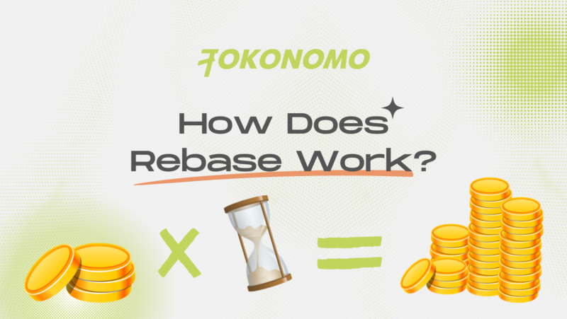 What is Rebase in Cryptocurrency? | Tokonomo Academy
