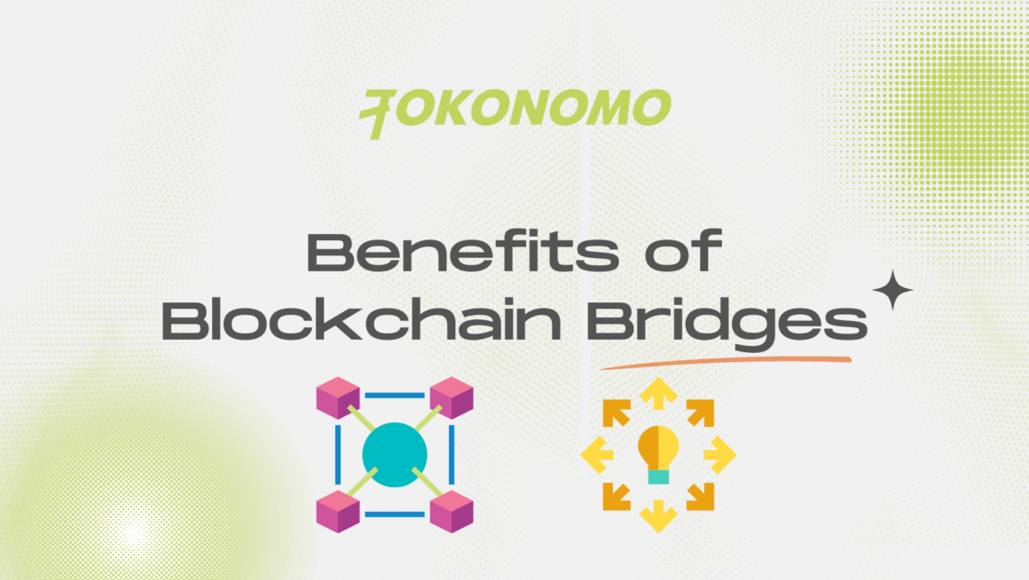 What’s a Blockchain Bridge? | Tokonomo Academy