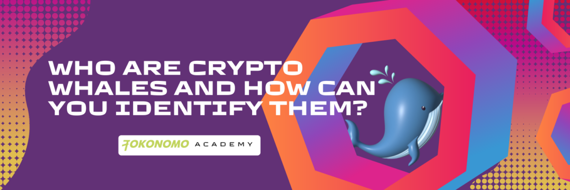Who Are Crypto Whales and How Can You Identify Them? | Tokonomo Academy